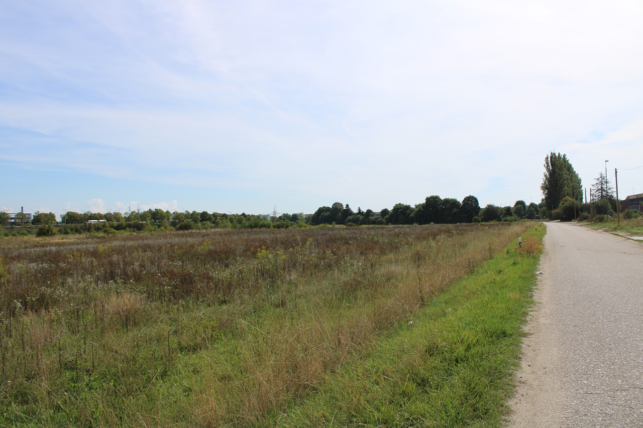 Kippt Projekt Containerdepot? CSU will Anwohner und Natur vor ...